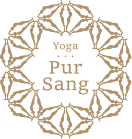 Yoga Pur Sang - Yoga lessen in Maastricht